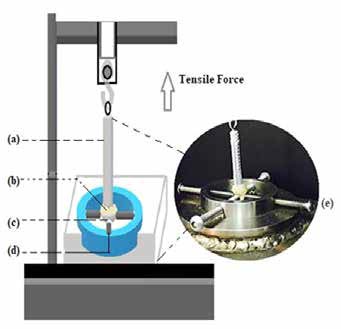 Journal of Clinical Pediatric Dentistry (JOCPD)