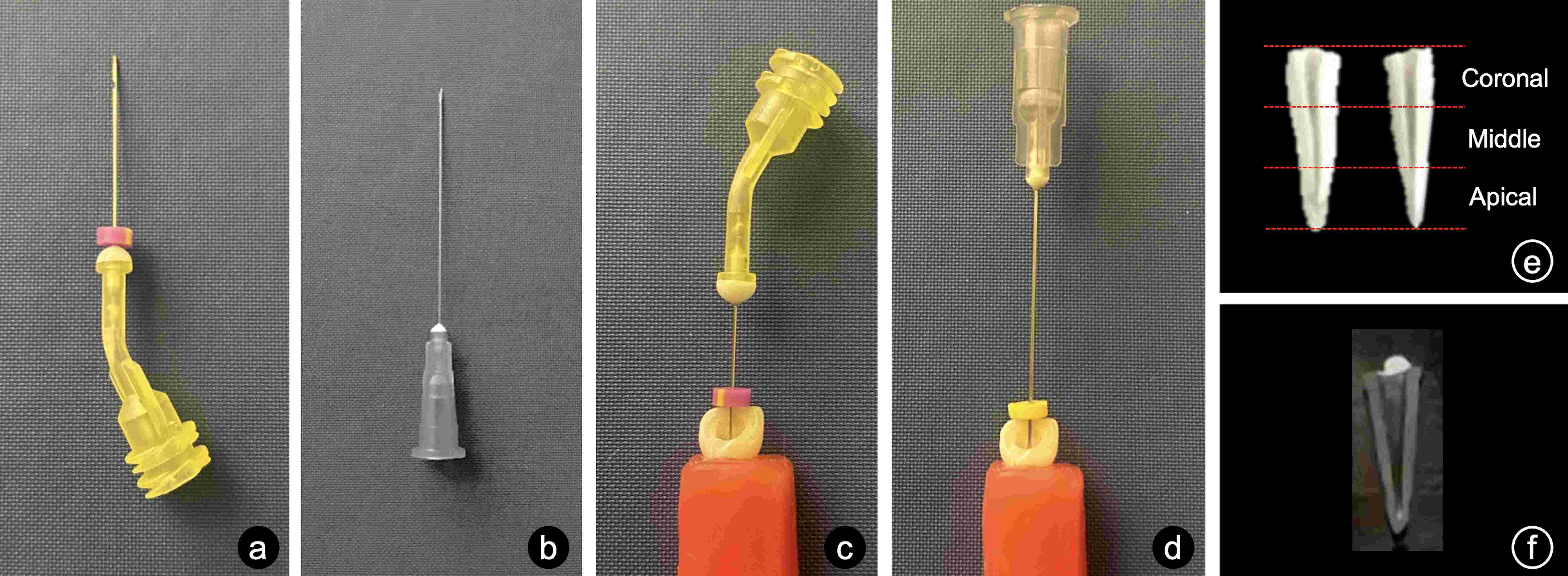Journal of Clinical Pediatric Dentistry (JOCPD)