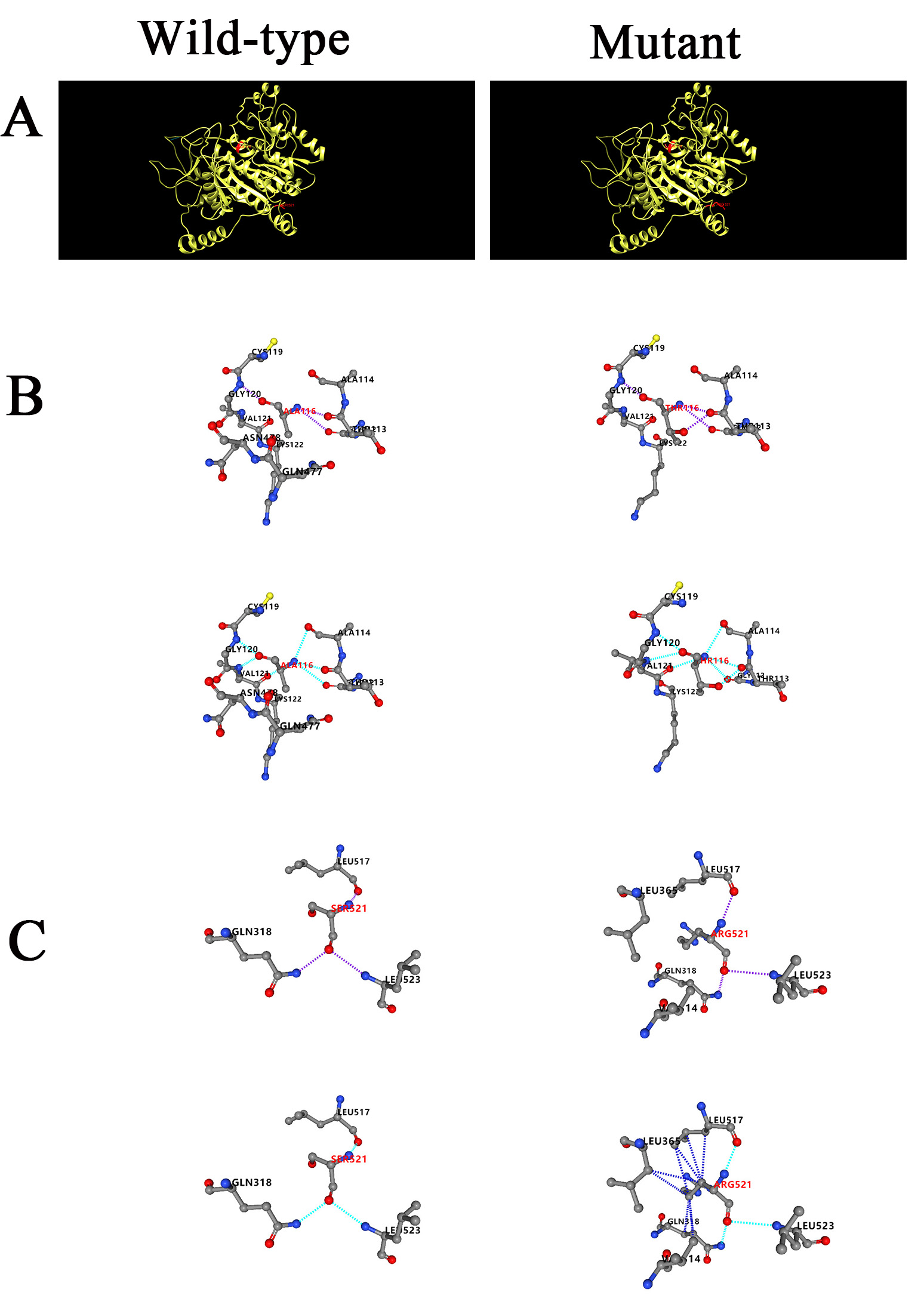 Journal of Clinical Pediatric Dentistry (JOCPD)