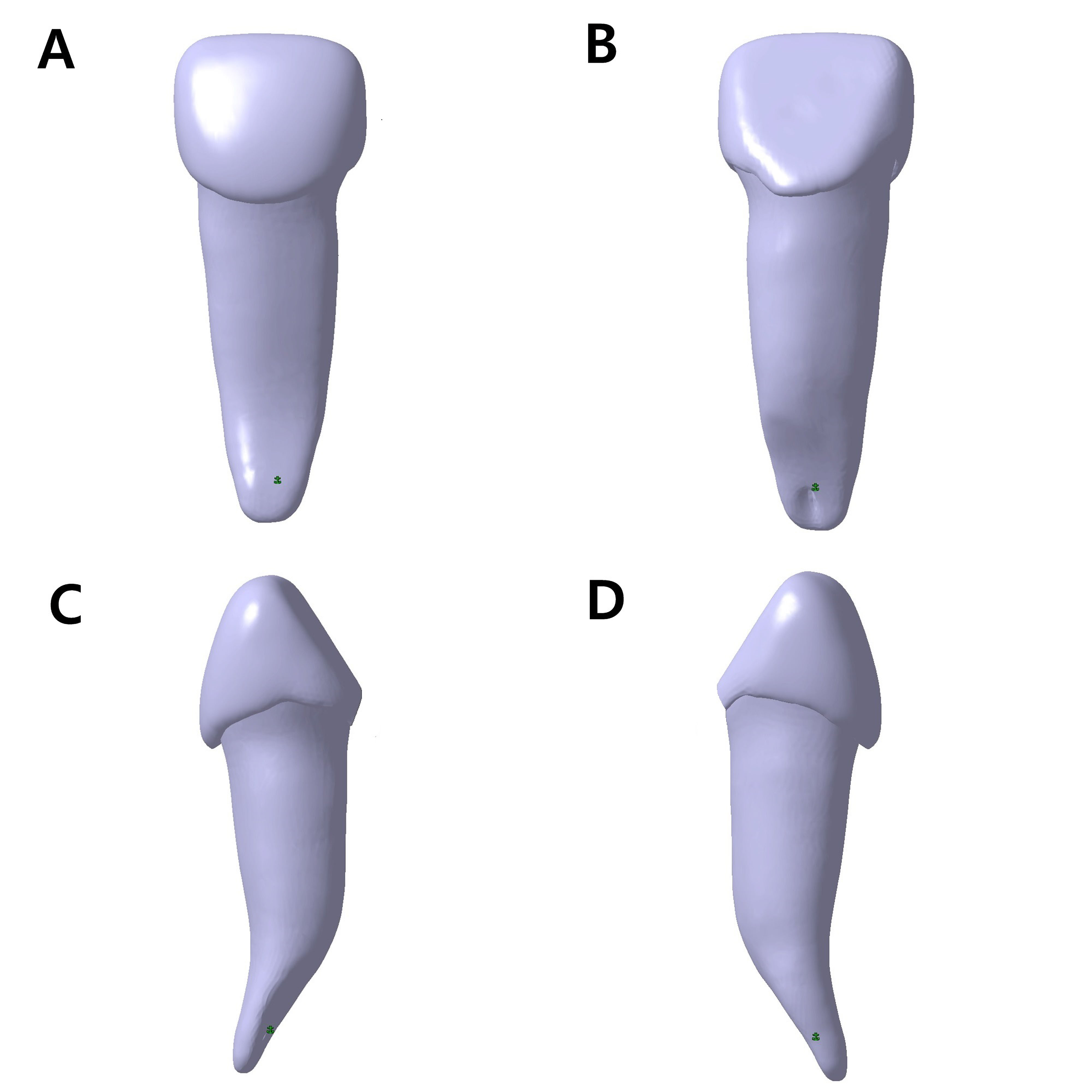 Journal of Clinical Pediatric Dentistry (JOCPD)