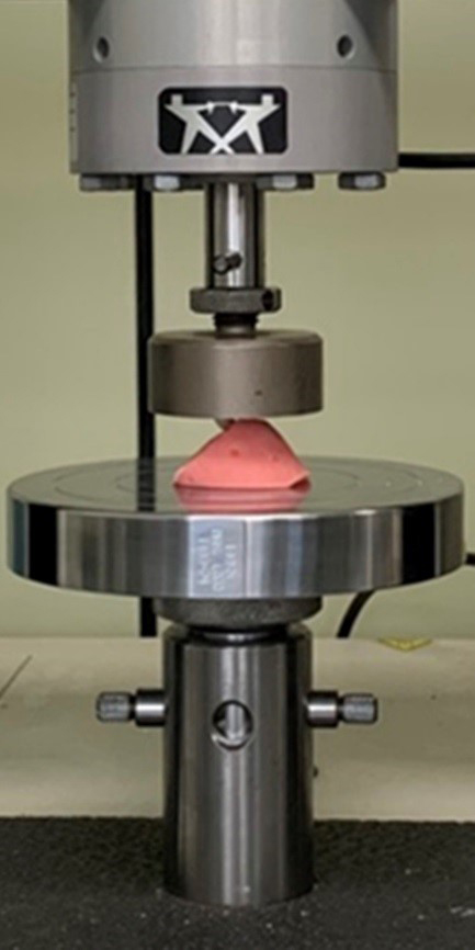 Journal of Clinical Pediatric Dentistry (JOCPD)