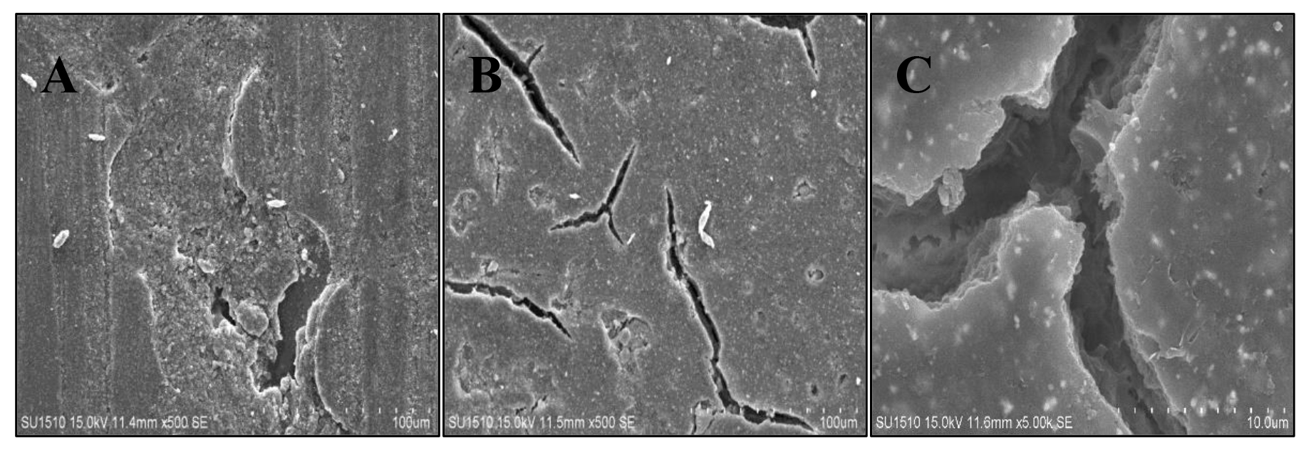 Journal of Clinical Pediatric Dentistry (JOCPD)