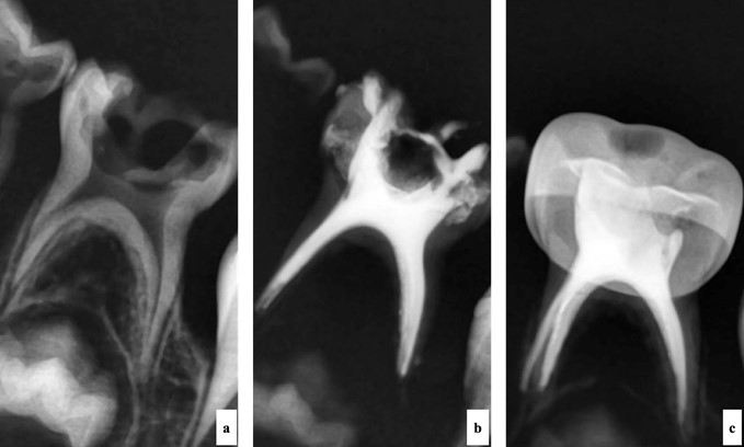 Journal of Clinical Pediatric Dentistry (JOCPD)
