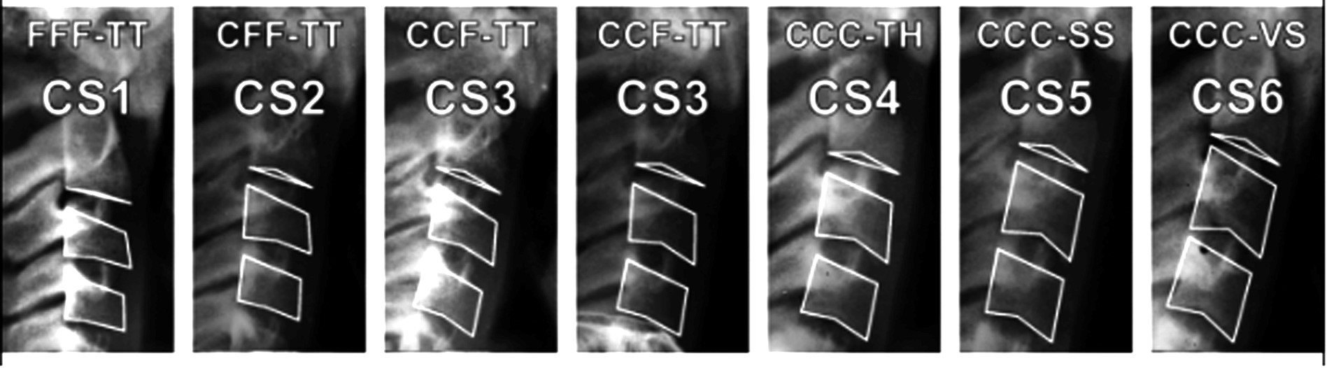 Journal of Clinical Pediatric Dentistry (JOCPD)