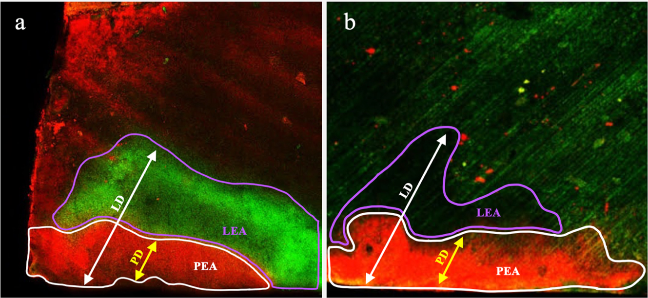 Journal of Clinical Pediatric Dentistry (JOCPD)
