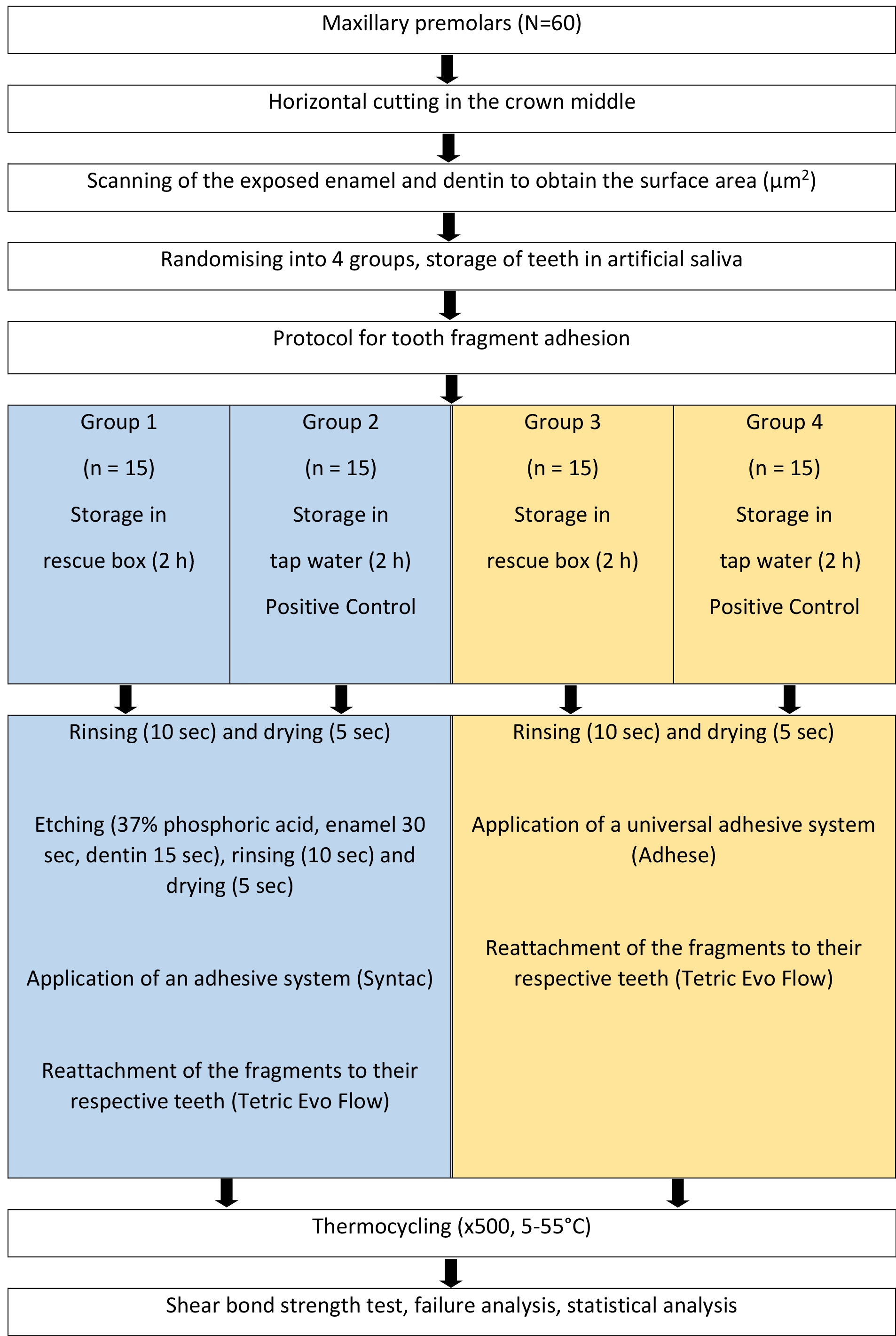 Journal of Clinical Pediatric Dentistry (JOCPD)