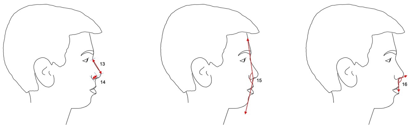 Journal of Clinical Pediatric Dentistry (JOCPD)