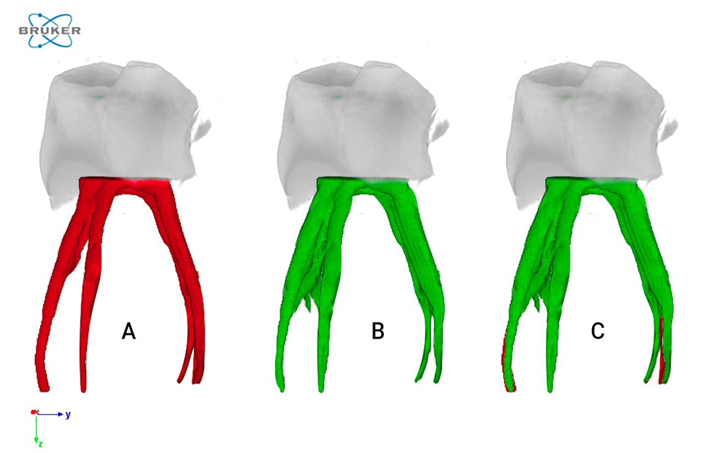 Journal of Clinical Pediatric Dentistry (JOCPD)