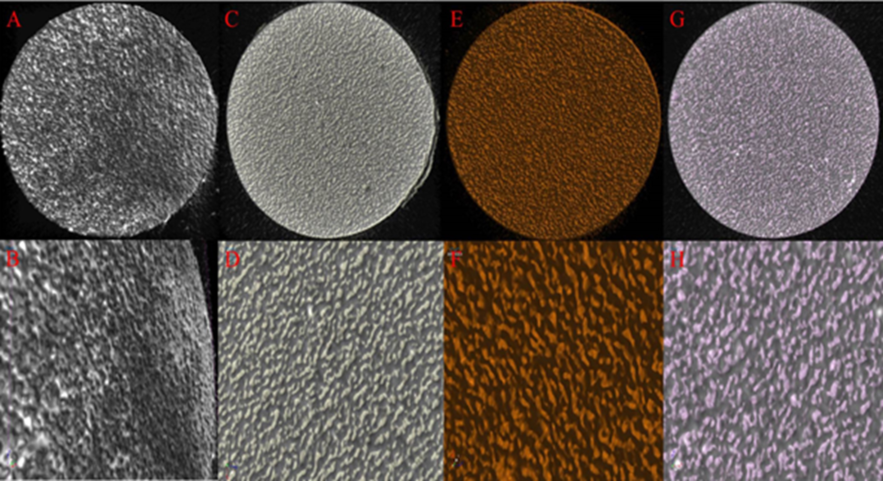 Journal of Clinical Pediatric Dentistry (JOCPD)