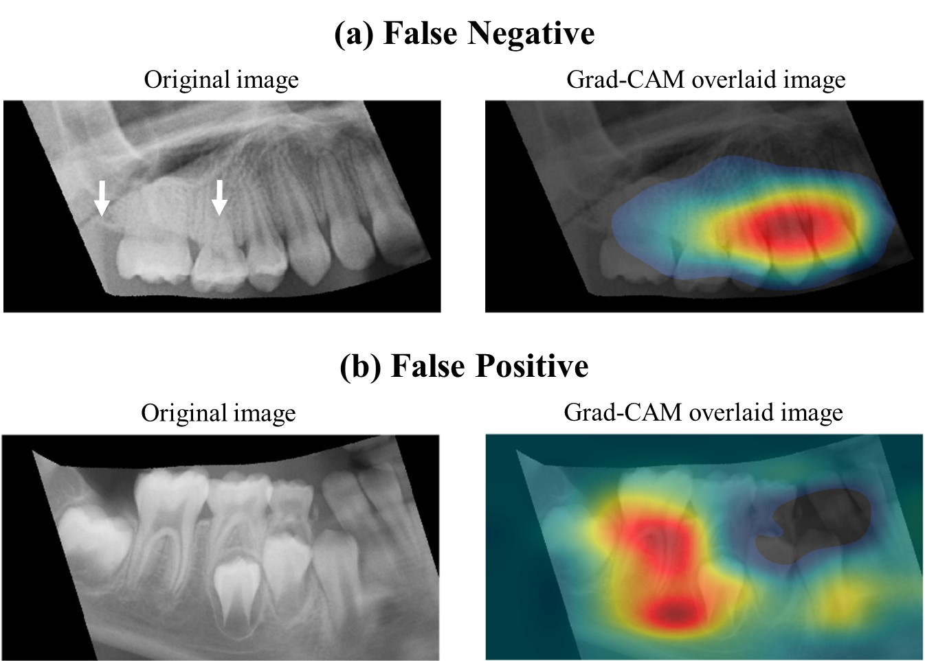 Journal of Clinical Pediatric Dentistry (JOCPD)