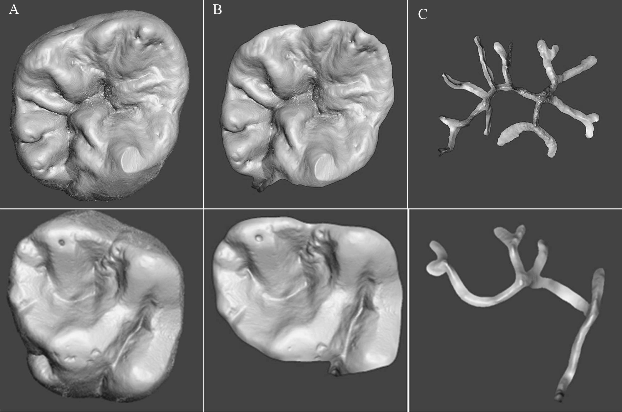 Journal of Clinical Pediatric Dentistry (JOCPD)