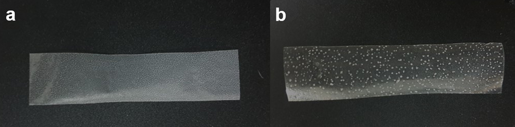 Journal of Clinical Pediatric Dentistry (JOCPD)