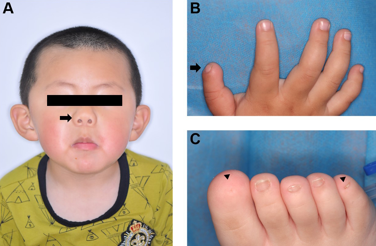 Journal of Clinical Pediatric Dentistry (JOCPD)