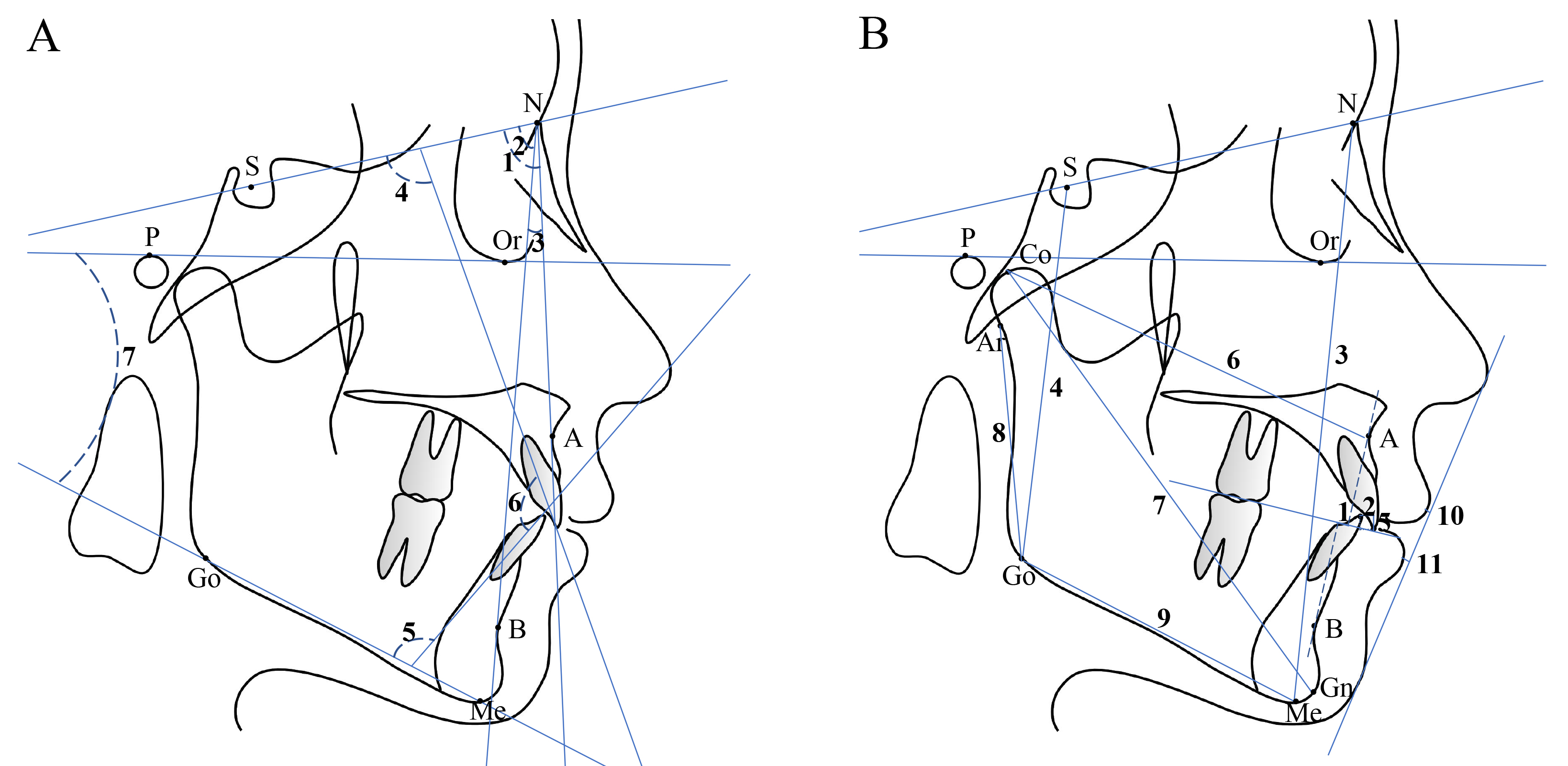 Journal of Clinical Pediatric Dentistry (JOCPD)