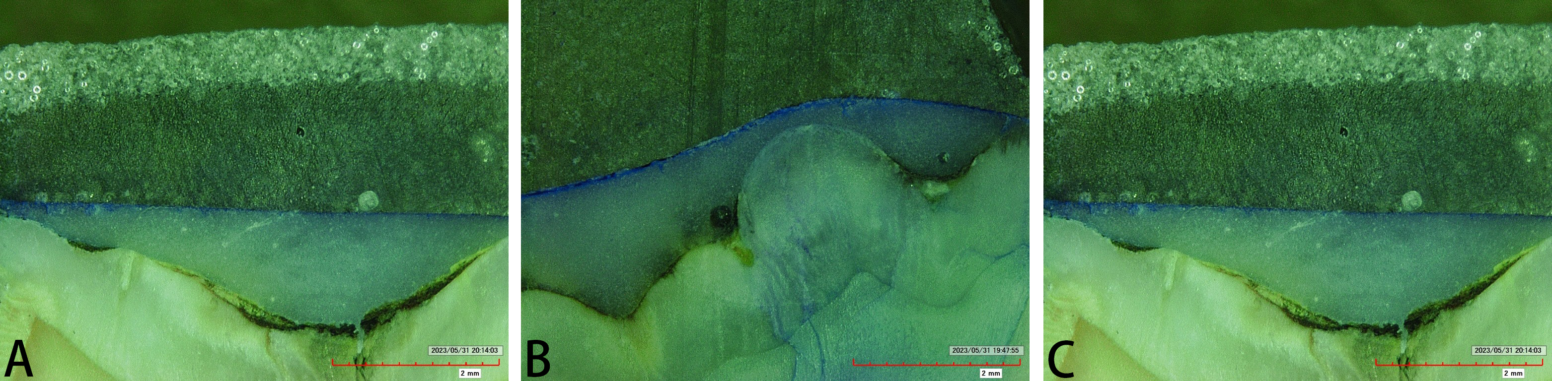 Journal of Clinical Pediatric Dentistry (JOCPD)